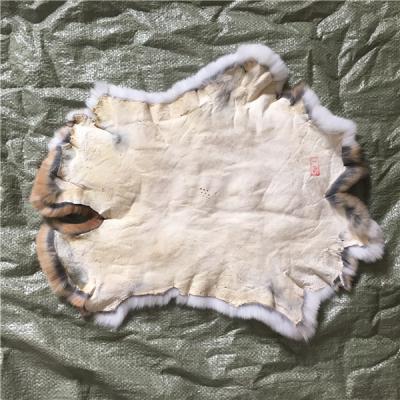 Cina la pelliccia del coniglio di 30*40cm Rex pela la morbidezza calda, pelliccia di Rex del cincillà con colore naturale/tinto in vendita