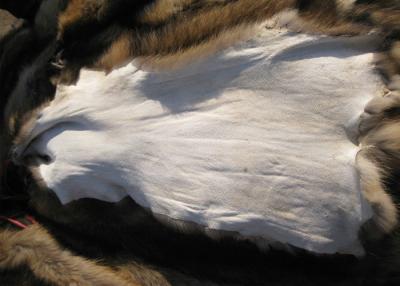 Cina Il collare della pelliccia del procione del tessuto del raso ha personalizzato il colore/dimensione per gli accessori di Karpa del rivestimento in vendita