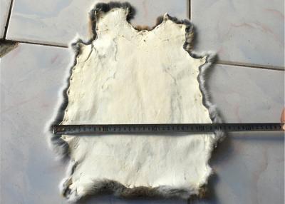 Cina Pelliccia genuina del coniglio dei rivestimenti per il tiro di inverno, cuoii della pelliccia del coniglio di bianco di 22*30cm  in vendita