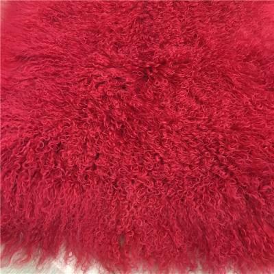 Cina tiro mongolo della pelle di pecora della pelle d'agnello della pelliccia tibetana del pellame della pelliccia della pelle di pecora della pelle d'agnello del piatto della pelliccia dell'agnello del Tibet del mongolian in vendita