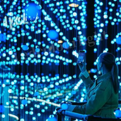 China DMX512 UCS2904 RGBW DC24V LED Pixel Ball Light with Steel Wire Ropes for sale