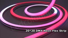 2020 Square DMX Neon Flex