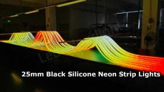 D25 Black Silicone Neon LED Strip