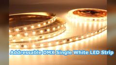 DC24V DMX512 Single White LED Strip | 10 Pixels Per Meter, Cuttable 10cm, 2700K-6000K CCT