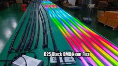 D25 Black Neon Flex Light