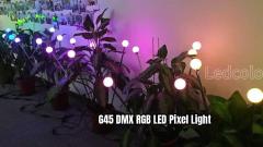 G45 DMX RGB Pixel Light with Ground Spike