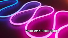 1225 DMX Neon Flex Light