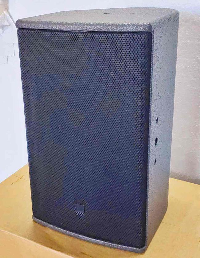 CX-12 Professional Floor Monitor Speaker front view showing coaxial driver design
