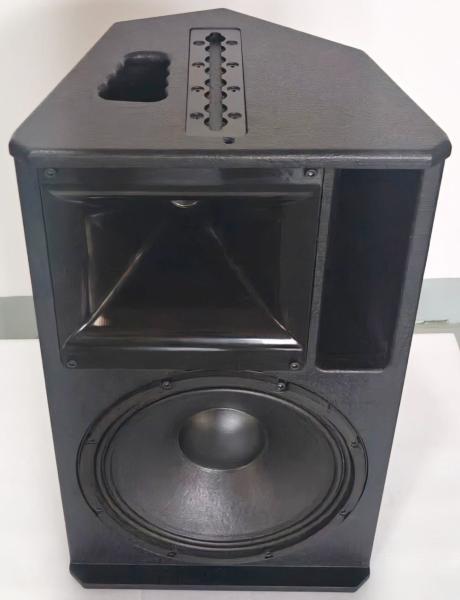 Quality Front Side Near Fill Pa Installation Professional Speaker 12 Inch 300w for sale