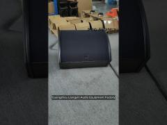 15 inch two way coaxial stage monitor speaker biamp 350w