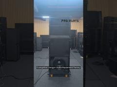dual compact neodymium line array 2 way full range speaker 10 inch