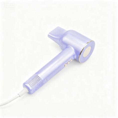 Quality Salon Styling Ionic Hair Dryer Lightweight Portable Blow Dryer For Home Or Travel for sale