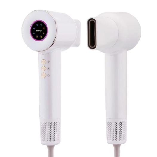 Quality Dual Voltage Temperature Control Hair Dryer 1600W High Speed Blow Dryer Fast Drying for sale
