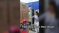 Fast Drying Hair Dryer Low Noise Ionic Care
