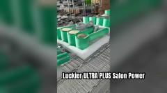 Luckier ULTRA PLUS Professional Salon Hair Dryer Review
