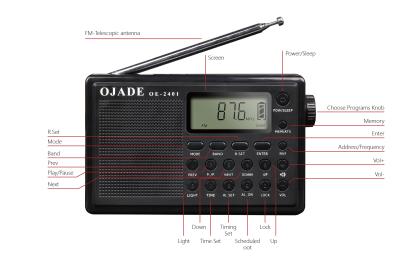 China Display Fm MW SW Digital Radio 10.2cm Bluetooth Radio Speaker Removable Battery for sale