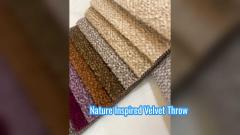 Vacation Rental Velvet Sofa Throw