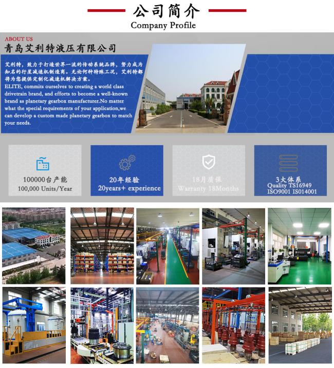 China Industrial Planetary Gearboxes for Sales