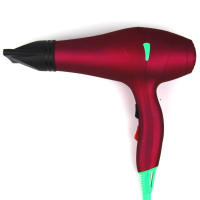China Professional Hair Dryer With High Quality AC Motor And Salon Hair Dryer Parts CE/ Rohs Approval for sale