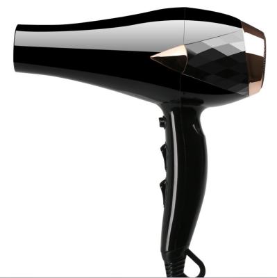 China Good design  Hot Sale Korea Travel Heavy Duty Powered Salon Hair Dryer wholesale for sale