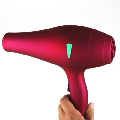 China Faster Delivery High Quality Hair Blower New Design Full Body Hair Dryer for sale