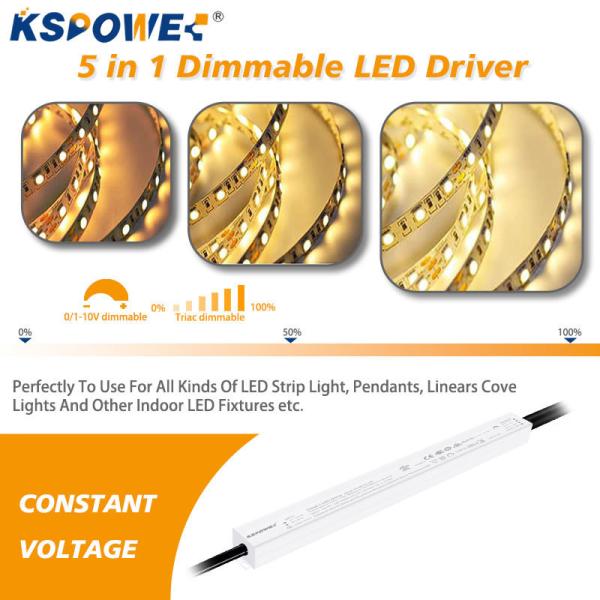 Quality 200w 300w 0-10v LED Dimmer OTP Output Frequency 60Hz Aluminum Case 0-10v Dimming for sale