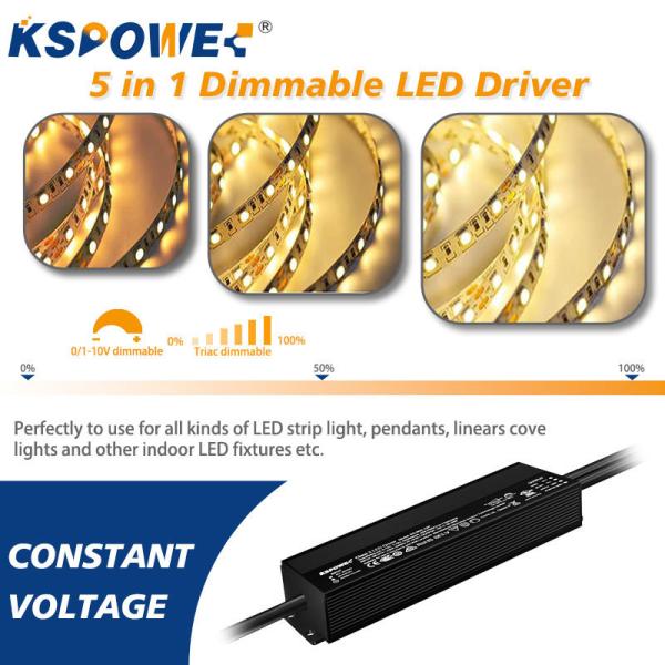 Quality 5 In 1 Triac Dimmable Driver 100% Output 48V Class 2 Backlight Led Transformer for sale