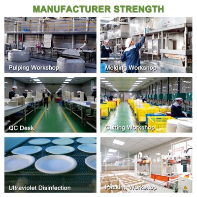 China Biodegradable Compostable Within 90 Day Disposable Bagasse Takeout Fast Food Packaging for sale