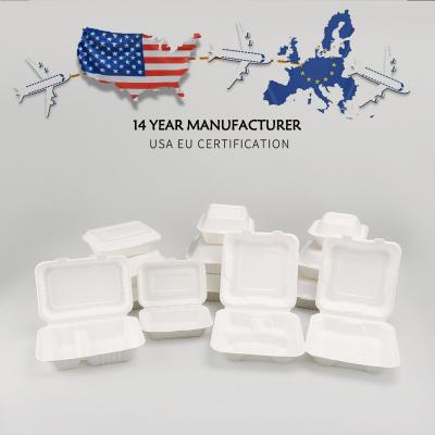 Cina Campione gratuito 15% di sconto Biodegradabile canna da zucchero Bagasse Contenitore alimentare per pranzo da asporto in vendita