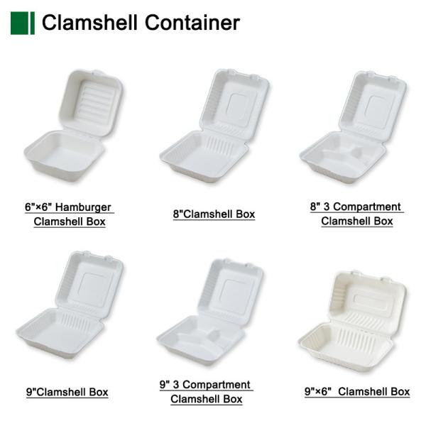 Quality Eco Biopartner Biodergradale Sugarcane Bagasse Food Container Fast Take Away for sale