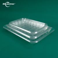 China Disposable Rectangular PET Fresh Fruit Tray Custom Blister Packaging for Frozen Food for sale