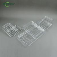 China Disposable Rectangular PET Fresh Fruit Tray Custom Blister Packaging for Frozen Food for sale