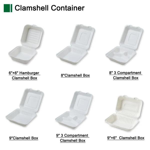 Quality Teenagers' Disposable Sugarcane Pulp Food Container Eco-friendly Clamshell for sale