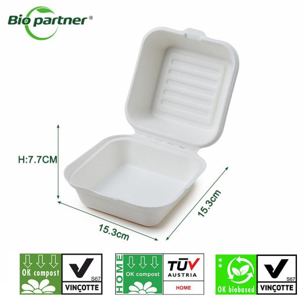 Quality Teenagers' Disposable Sugarcane Pulp Food Container Eco-friendly Clamshell for sale