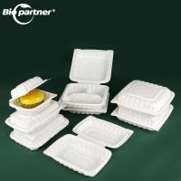 China Rectangle MFPP Hinge Clamshell Food Container 15.5x15.5x4cm Sturdy Vented Salad Packaging for sale