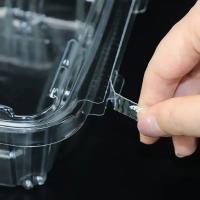China Clear PET Clamshell Hinged Container Tamper Proof Packaging for Large Storage Box 600pcs for sale