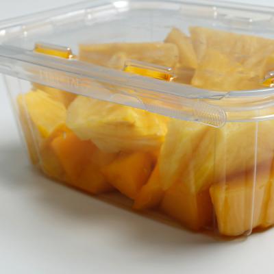 China 16 Oz Clear Plastic Container Tamper Evident Proof Pre Cut Fruit Clamshell Clear Vegetable Punnet for sale