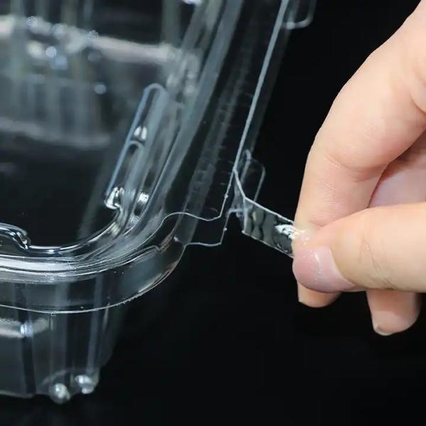 Quality OEM Logo Tamper Proof Container for Plastic Blister Packaging of Salad Fruit for sale