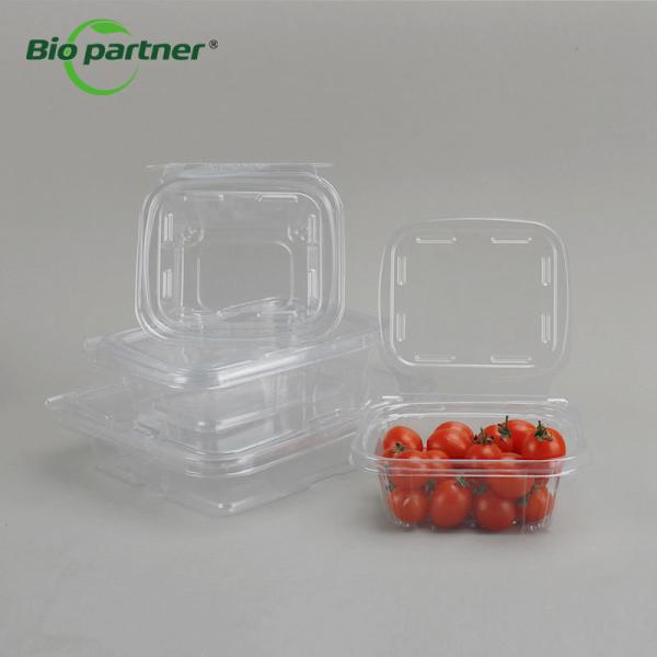 Quality OEM Logo Tamper Proof Container for Plastic Blister Packaging of Salad Fruit for sale