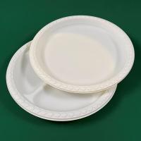 China Y17 9 inch Square Biodegradable Plates Polished Finish Custom Pattern Eco Friendly for sale
