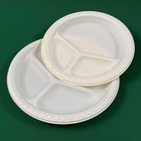 China Y17 9 inch Square Biodegradable Plates Polished Finish Custom Pattern Eco Friendly for sale