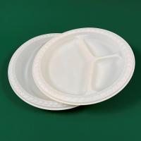 China Y17 9 inch Square Biodegradable Plates Polished Finish Custom Pattern Eco Friendly for sale