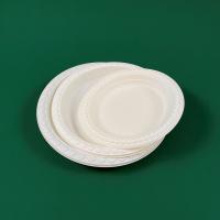 China Y17 9 inch Square Biodegradable Plates Polished Finish Custom Pattern Eco Friendly for sale
