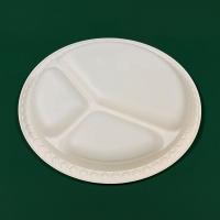 China Y17 9 inch Square Biodegradable Plates Polished Finish Custom Pattern Eco Friendly for sale