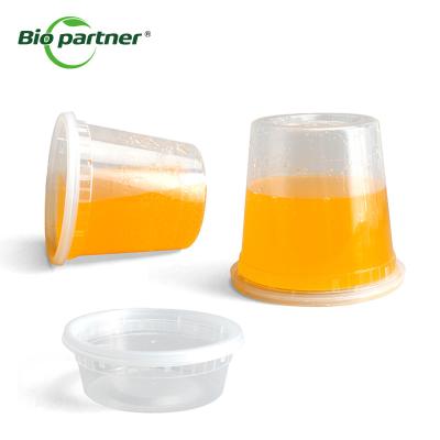 China CLASSIC Design Style Clear Soup Plastic Takeout Food Container for Back to School zu verkaufen