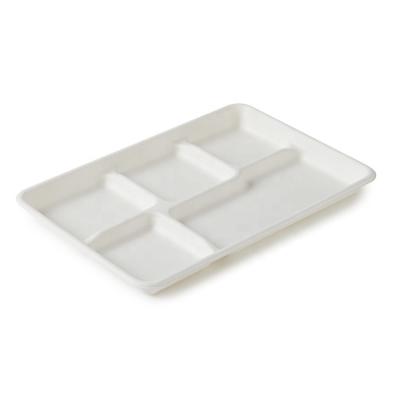 China 5 Compartment 6 Partition 730ml Sugarcane Bagasse Meat Tray for Baking Hot Dog Fish for sale