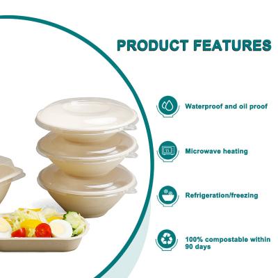 Cina Convenient Food Packing Pulp Bagasse Take Away Bowls for Back to School Lunches in vendita