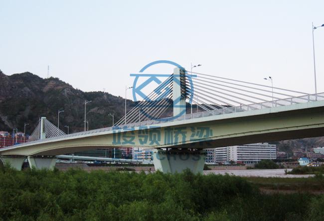 Evercross steel bridge project showcase