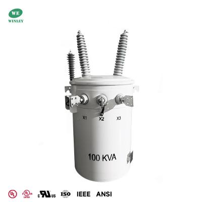 China 100kVA Single Phase Pole Mounted Transformer 34500V to 120/240V Double Bushing Primary ANSI/IEEE DOE Standards for sale