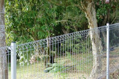 China BRC fence,Roll top fence,triangle bending for sale